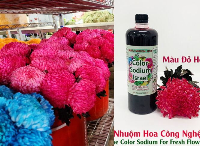 Bột Nhuộm Hoa Tươi Màu Đỏ Đậm Boost Pre 11 (1 Hủ 70gr pha 10L đến 12L ...